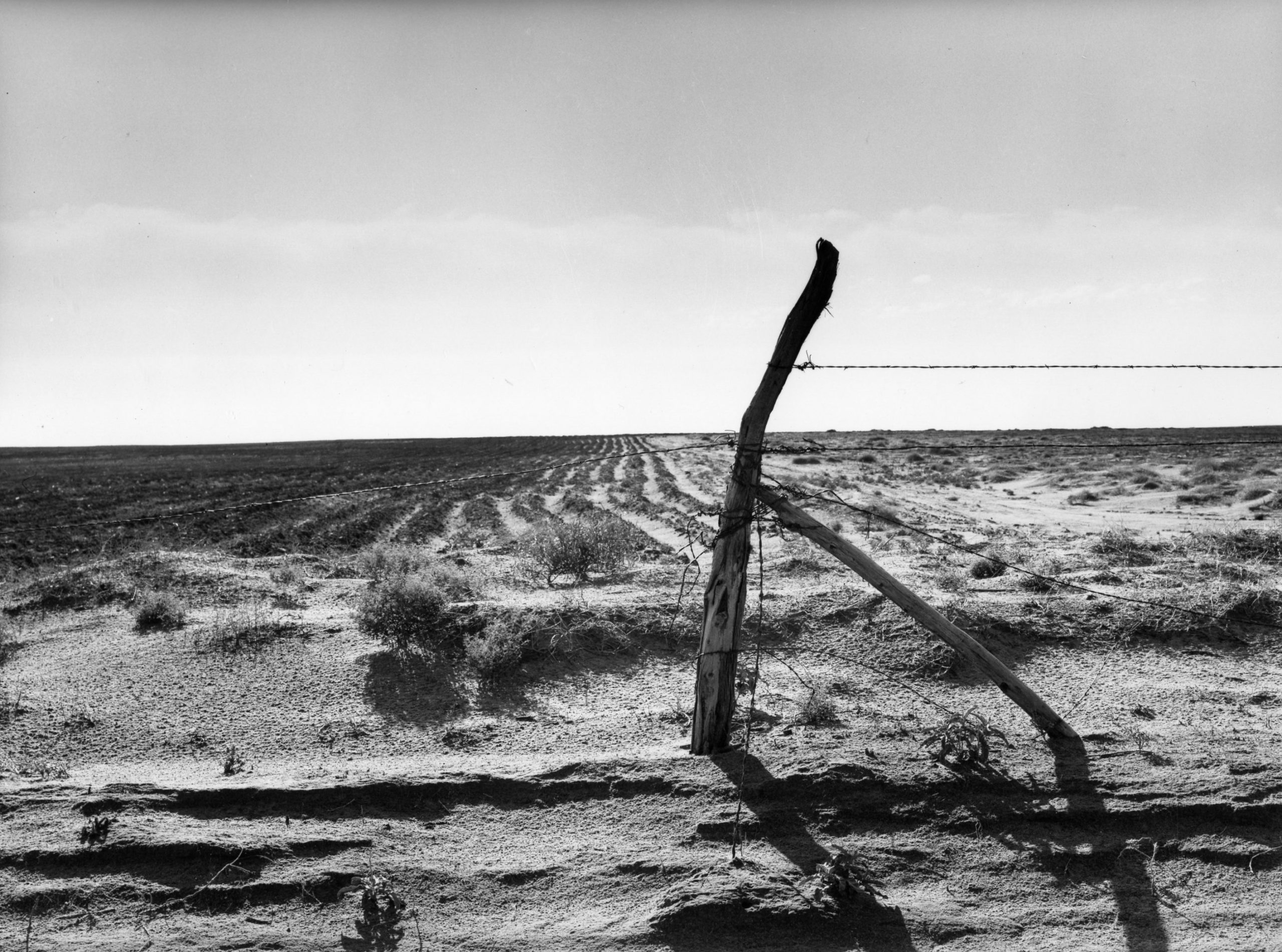 Dorothea Lange - OMCA Abandoned Dust Bowl Farm